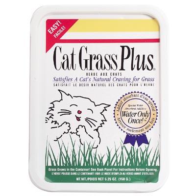 GIMBORN Cat Grass Plus 5.25 oz